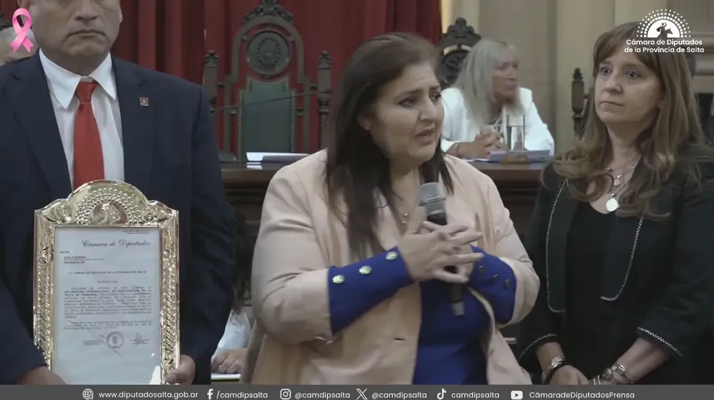 “En Salta hay pedófilos y pederastas que pagan por violar”, dijo Isabel ...